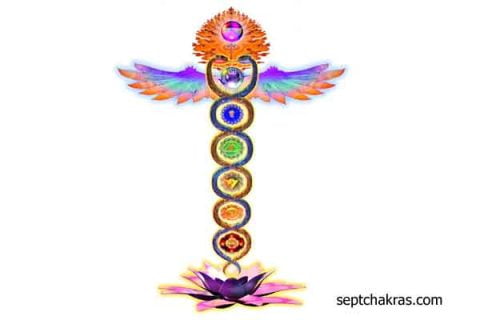 4e chakra – chakra du cœur – SeptChakras.com